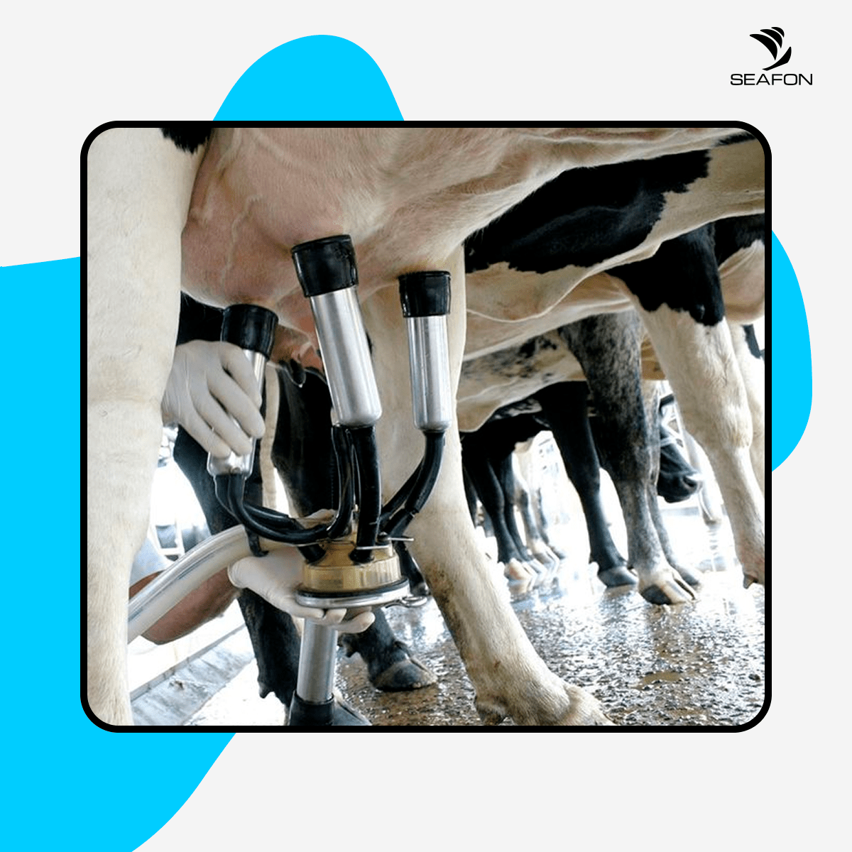Maquina Ordeñadora De Vaca 25lts Extractor De Leche – Seafon